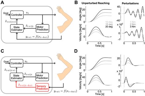 computational models and simulations a computational model based on a download scientific