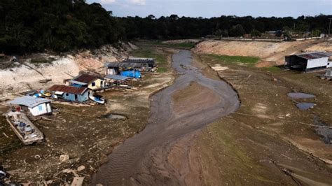 Mercado de carbono entenda o que é como funciona e como você