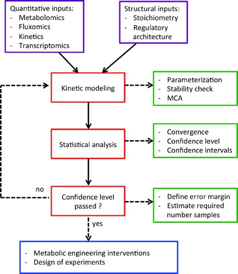 Schematic Diagram Of Workflow Carried Out In The Study Key Steps Red