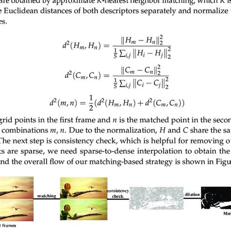 pdf optical flow estimation with occlusion detection