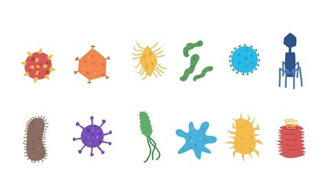 Conjunto De Vectores De Virus Y Bacterias Colorido Virus Bacterias Y