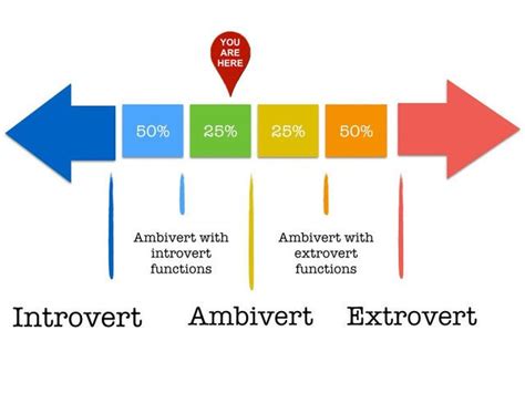 where do you lie on the introversion scale extrovert ambivert introversion
