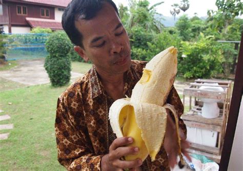 Twilight Zone Worlds Biggest Bananas 50 Off