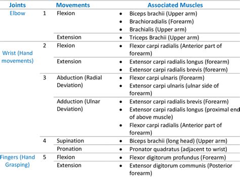 muscles responsible for upper limb joint movements download scientific diagram