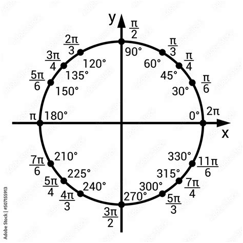 Trigonometric Unit Circle Chart In Mathematics Stock Vector Adobe Stock