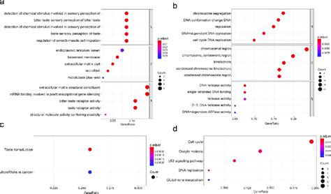 GO Functional Annotation And KEGG Pathway Analysis A The Top 5