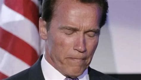 Arnold Schwarzenegger Airs Apology After Past Groping Admission