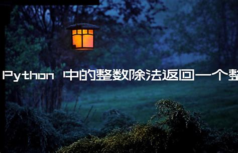 从 python 中的整数除法返回一个整数 码微