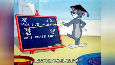 第14集猫和老鼠生活不易汤姆开始授课了不料杰瑞出来捣乱 动漫 高清完整版视频在线观看 腾讯视频