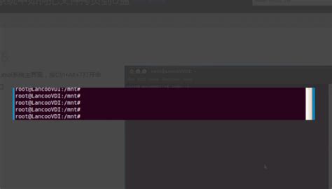 linux如何系统挂载u盘拷贝文件 mmcloud