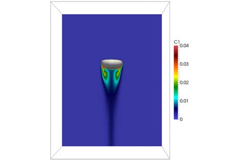 modeling and numerical simulation of species transfer in bubbly flows using openfoam hkhlr