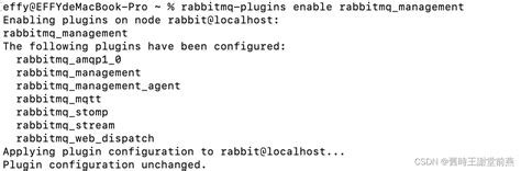 macbook macos安装rabbitmq【超详细图解】 mac 安装rabbitmq csdn博客