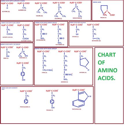 Shelford Tutorials Classification Of Amino Acids