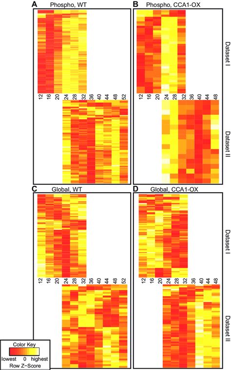 Whole Dataset Protein And Phosphopeptide Dynamics Heatmaps Were