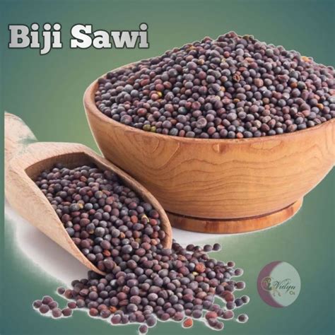 Biji Sawi Gram Rempah Lazada Indonesia