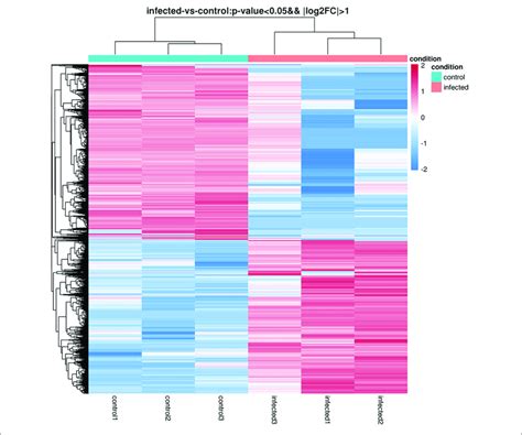 Hierarchical Clustering Heatmap Of DEGs According To Changes In