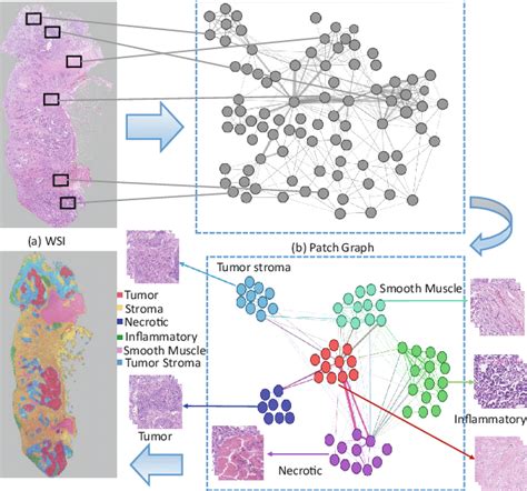 the framework of our proposed community detection algorithm for download scientific diagram