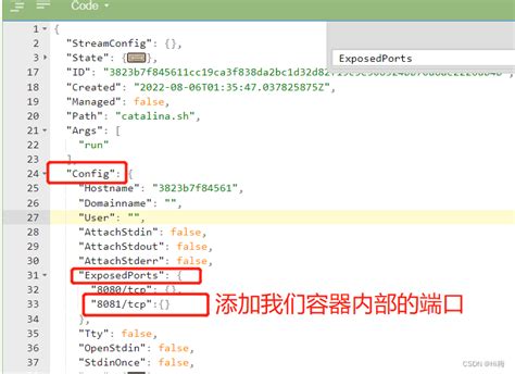 docker已存在的容器 怎么（添加新端口号·图文详解） config v2 json csdn博客