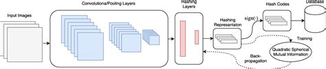 figure 1 from deep supervised hashing leveraging quadratic spherical mutual information for