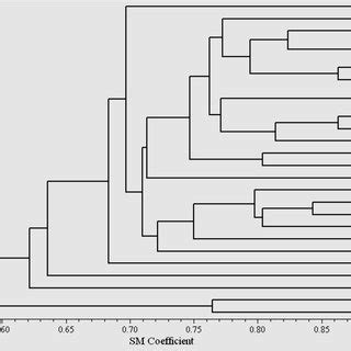 Dendrogram Generated Using UPGMA Analysis Showing Relationships Among