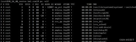 linux查看进程的4种方法 linux 查个人进程 csdn博客