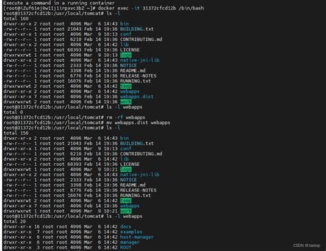 docker安装tomcat tomcat docker csdn博客
