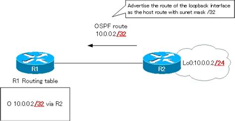 OSPF Advertising Loopback Interface How The OSPF Works N Study