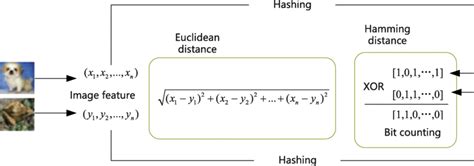 difference of euclidean distance and hamming distance download scientific diagram