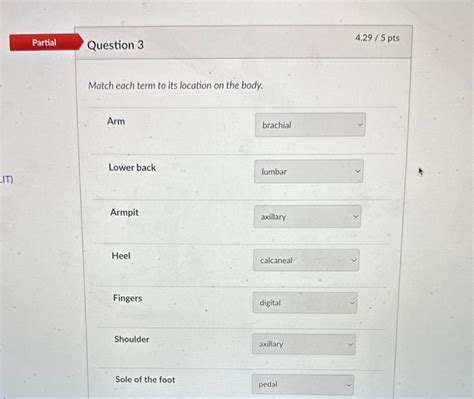 Solved Match Each Term To Its Location On The Body Arm Chegg