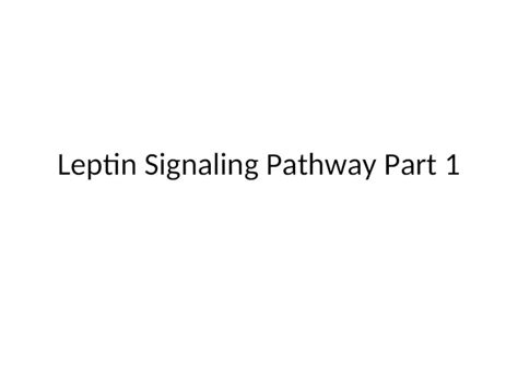 PPT Leptin Signaling Pathway Part 1 Leptin The Beginning Identified