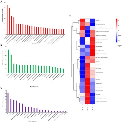 Frontiers Combined Analysis Of The Transcriptome And Metabolome