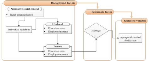 a two sex conceptual framework adapted from bongaarts 1978 download scientific diagram
