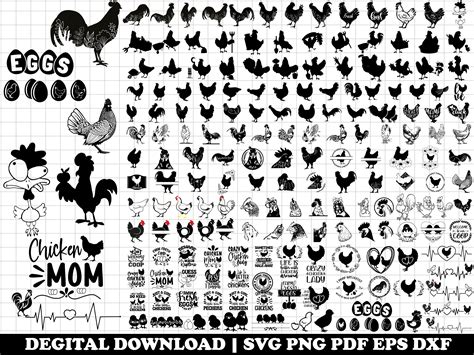 Chicken Svg Bundle Hand Drawn Chicken Svg Rooster Svg Etsy Canada