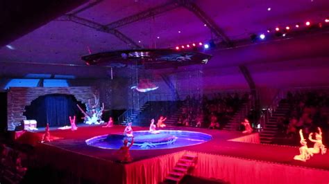 Aerial Net Acrobatics Circus Act Variety Show Entertainment Performance Part Event Youtube