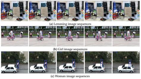 sensors free full text visual object tracking using structured sparse pca based appearance