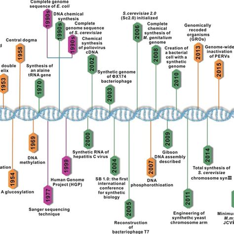 pdf synthetic genomes