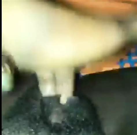 사정할 때까지 핑거링하는 아프리카 음란한 소녀 xHamster