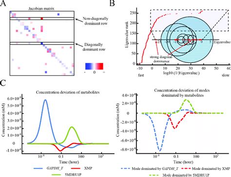 diagonal dominance in the jacobian matrix explains simple mode download scientific diagram