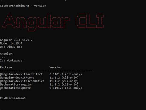 How To Solve Ng Is Not Recognized As An Internal Or External Command In
