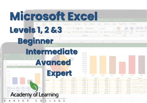 Microsoft Excel Certificate Beginner To Advanced AOLC BC