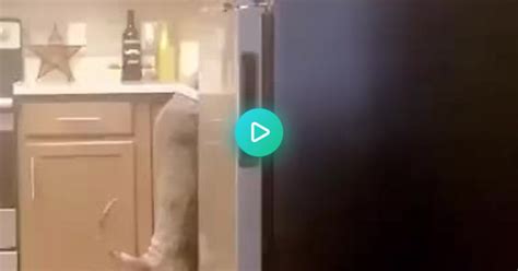 Act Naturally Album On Imgur