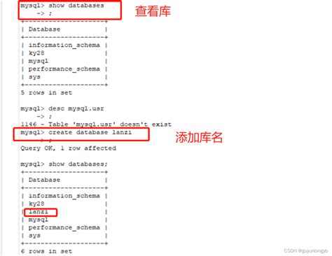 mysql数据库基本命令操作 mysql数据库基础命令 csdn博客