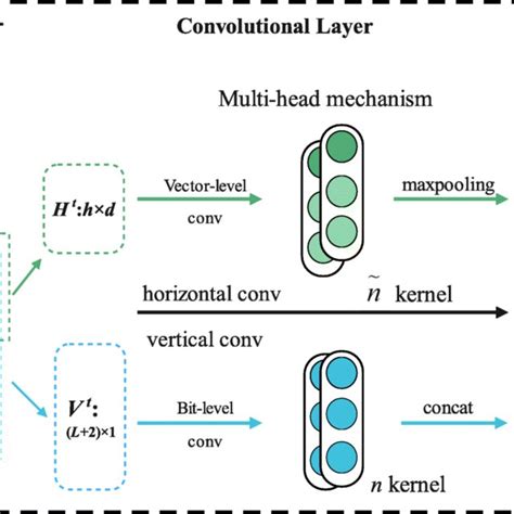bi cnns employ two kinds of convolutional kernels to process high order download scientific