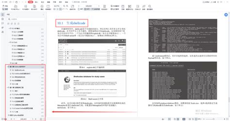 黑客零基础入门教程《python安全攻防：渗透测试实战指南》极致经典，学完即可包吃包住 渗透测试教程 csdn博客