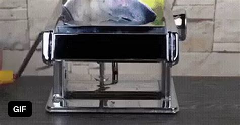 W H A T T H E F U C K 9GAG