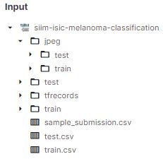 How To Load A Csv And Image Dataset In Kaggle Stack Overflow