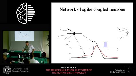 hines michael using neuron python for parallel simulation youtube