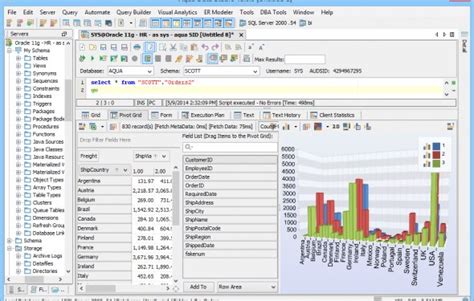 Oracle Database Query Tool Database Processing