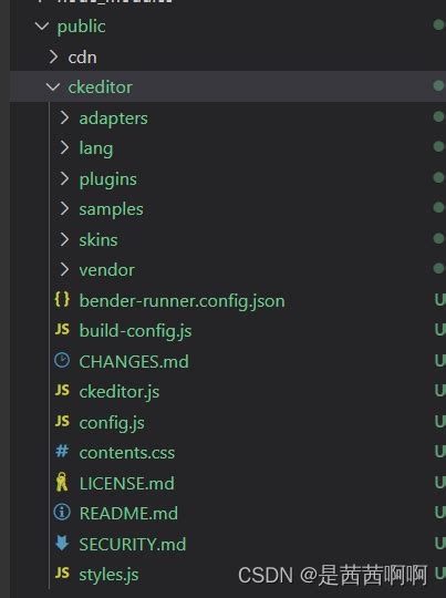 vue中使用富文本编辑器ckeditor vue ckeditor CSDN博客