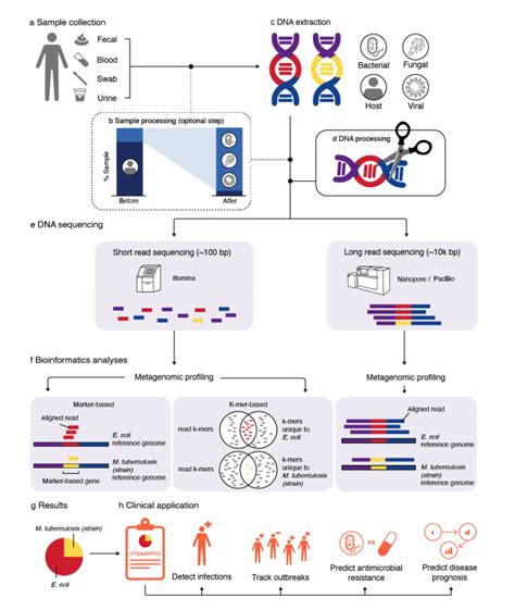 koslicki lab publications